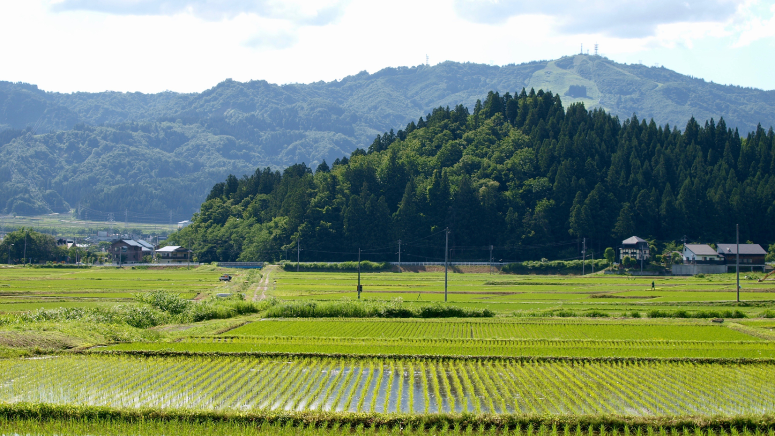 Rural Japan at Its Finest: Why Niigata Will Capture Your Heart - Into Japan
